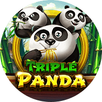 SG Slot | Asia Top Online Slot Games